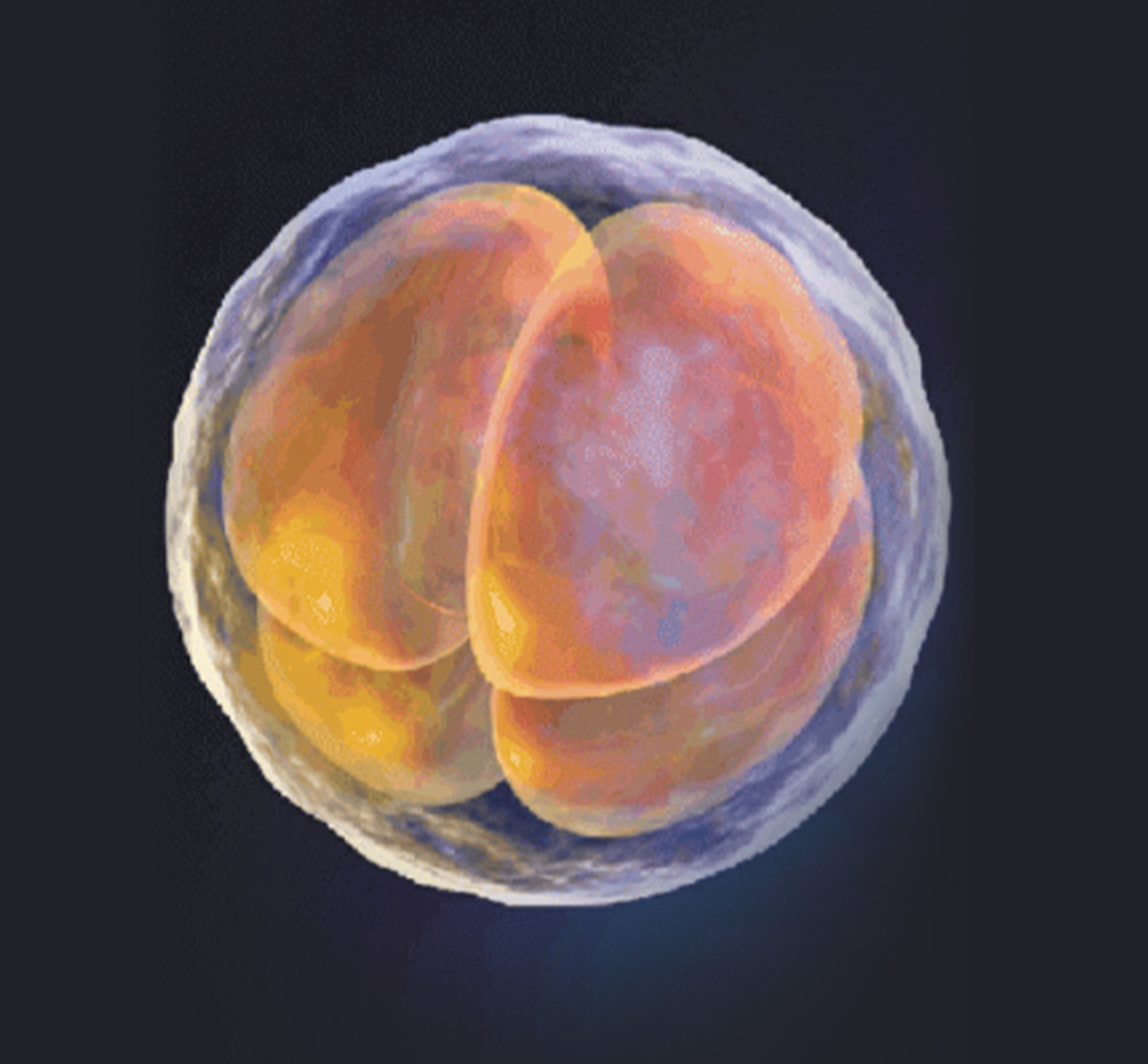 Reproductive Genetics